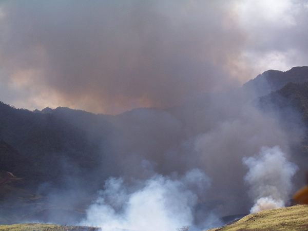 DMZ Hawaii/Aloha Aina: Protect the Aina | Protect the People | Stop ...